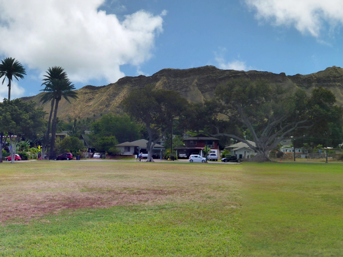 Kapiolani Park - Hawaii Travel Guide