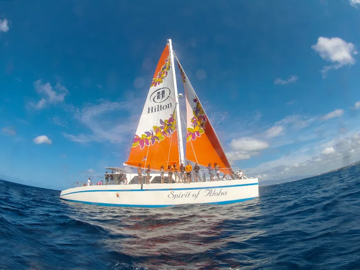 5 Reasons Why Our Customers Love the Spirit of Aloha Turtle Snorkel ...