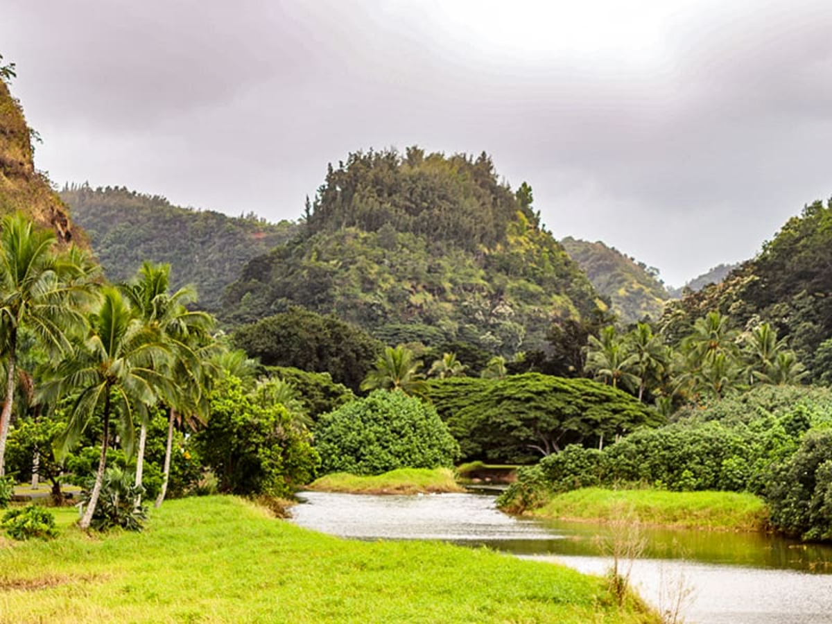 Waimea Valley - Hawaii Travel Guide