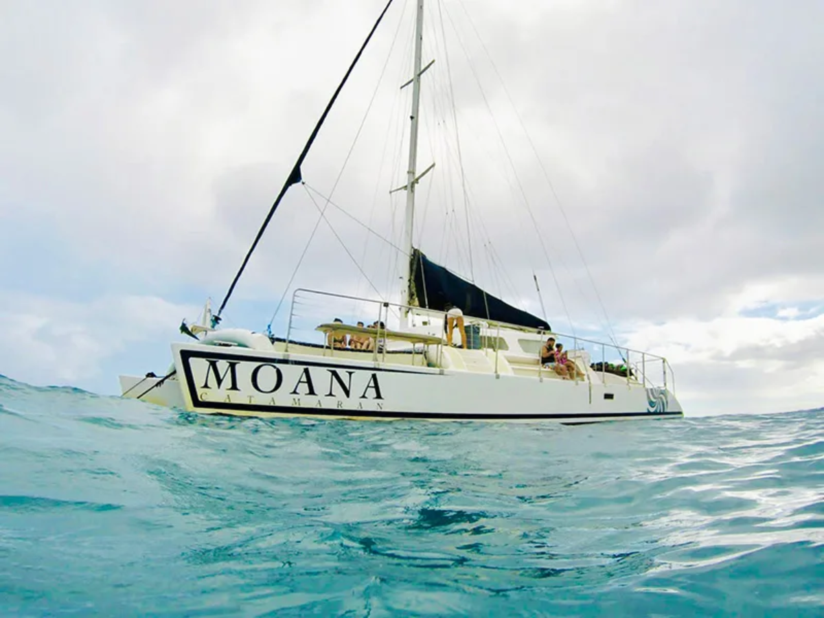 5 Reasons Why Our Customers Love the Moana Turtle Snorkel Cruise ...