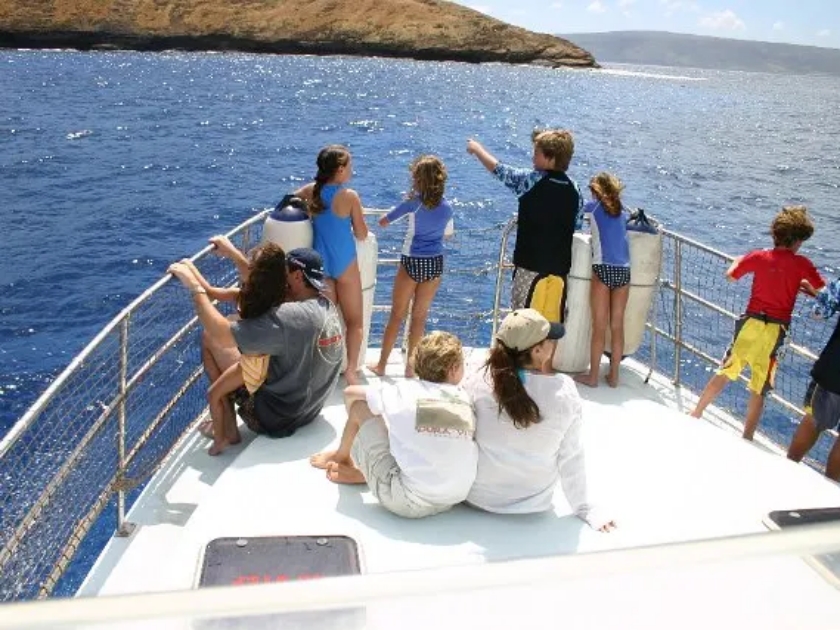 The Ultimate Experience with Private Maui Tours - Your Guide to ...