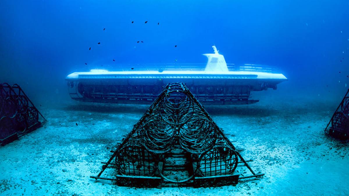 5 Reasons Why You Should Go on a Submarine Tour in Waikiki - Hawaii ...