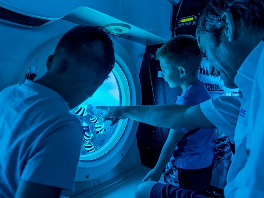 Waikiki Submarine Tours: Routes and What to See - Hawaii Travel Guide