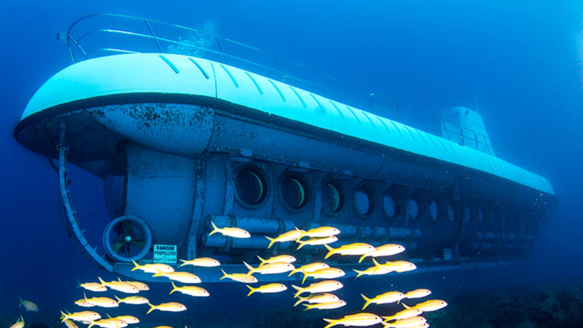 Best Submarine Tours in Waikiki - Hawaii Travel Guide