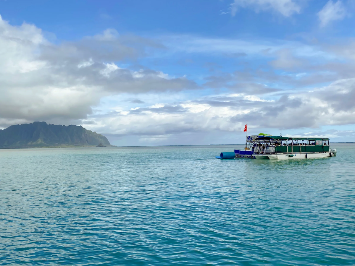 5 Reasons Why Our Customers Love Captain Bruce Kaneohe Bay Sandbar ...