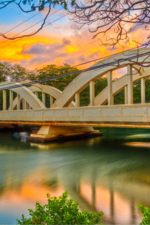 What is a Luau? - Hawaii Travel Guide