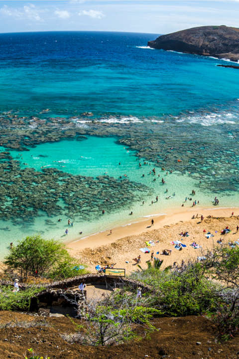 Turtle Bay - Hawaii Travel Guide