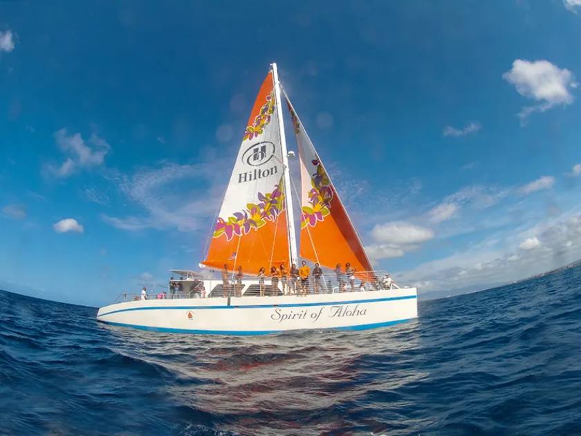 Best Snorkeling Tours near Waikiki - Hawaii Travel Guide
