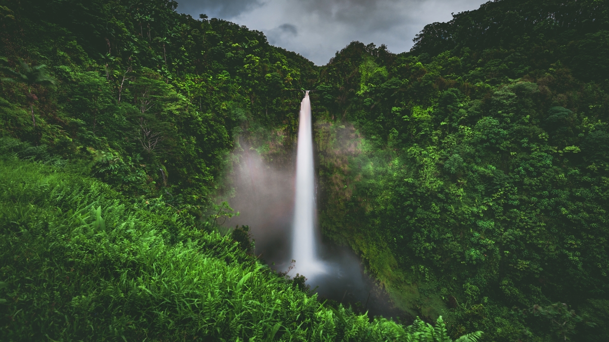 Akaka Falls - Hawaii Travel Guide