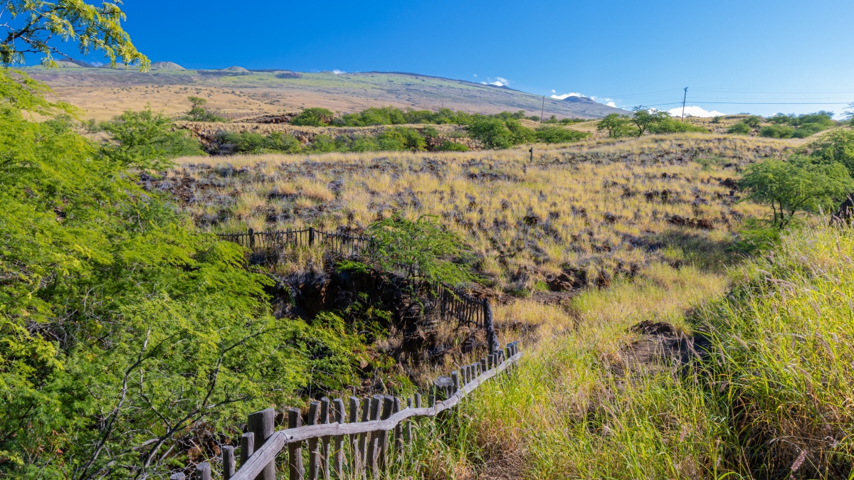 Ala Kahakai National Historic Trail - Hawaii Travel Guide