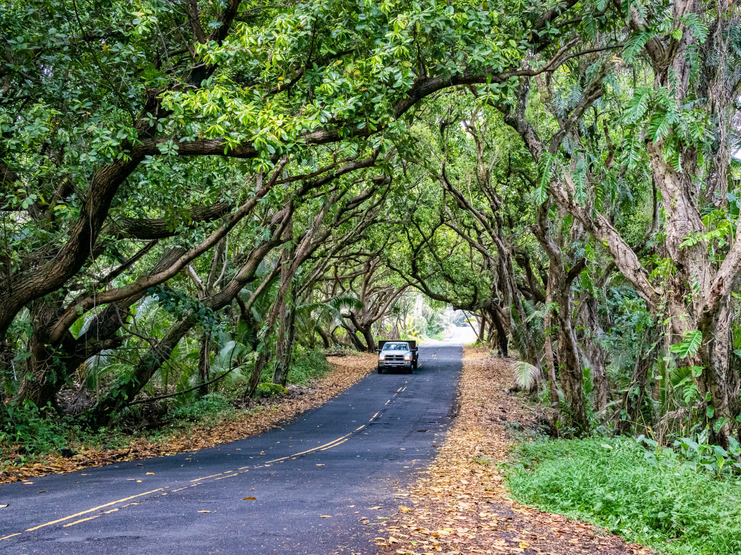 Hawaii in Fall: September, October & November for a Romantic Retreat ...