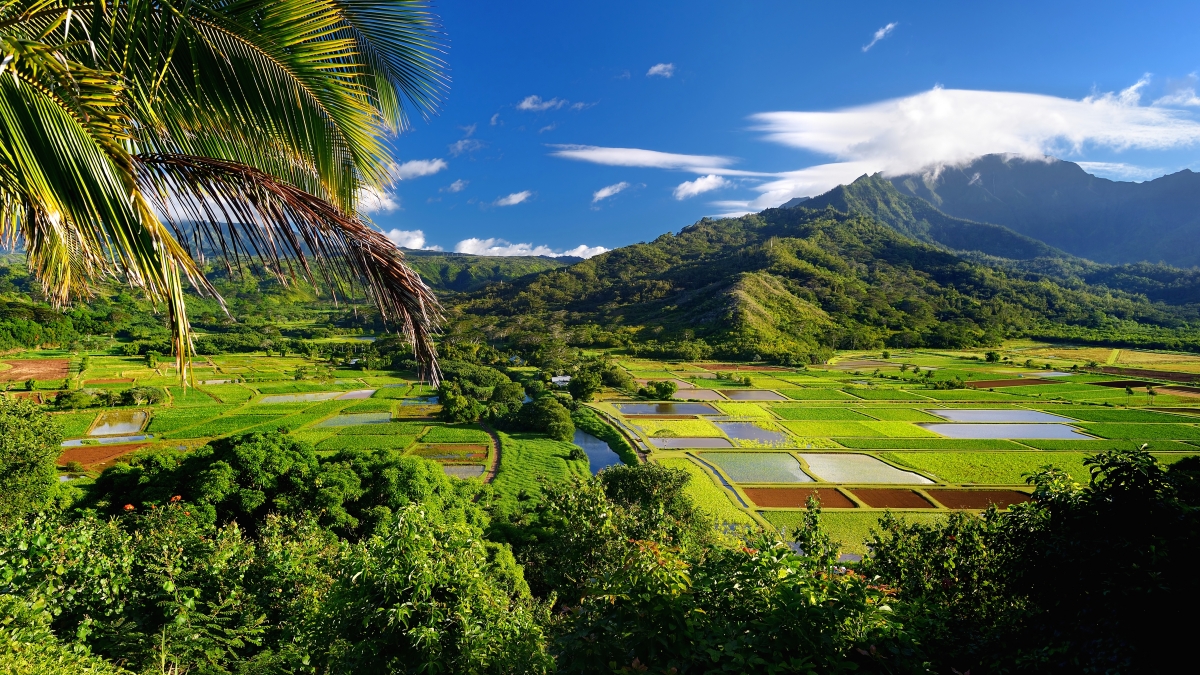 Hanalei Valley Lookout - Hawaii Travel Guide