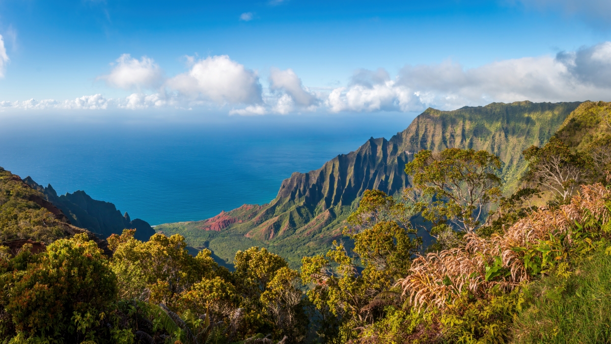 Kalalau Lookout - Hawaii Travel Guide