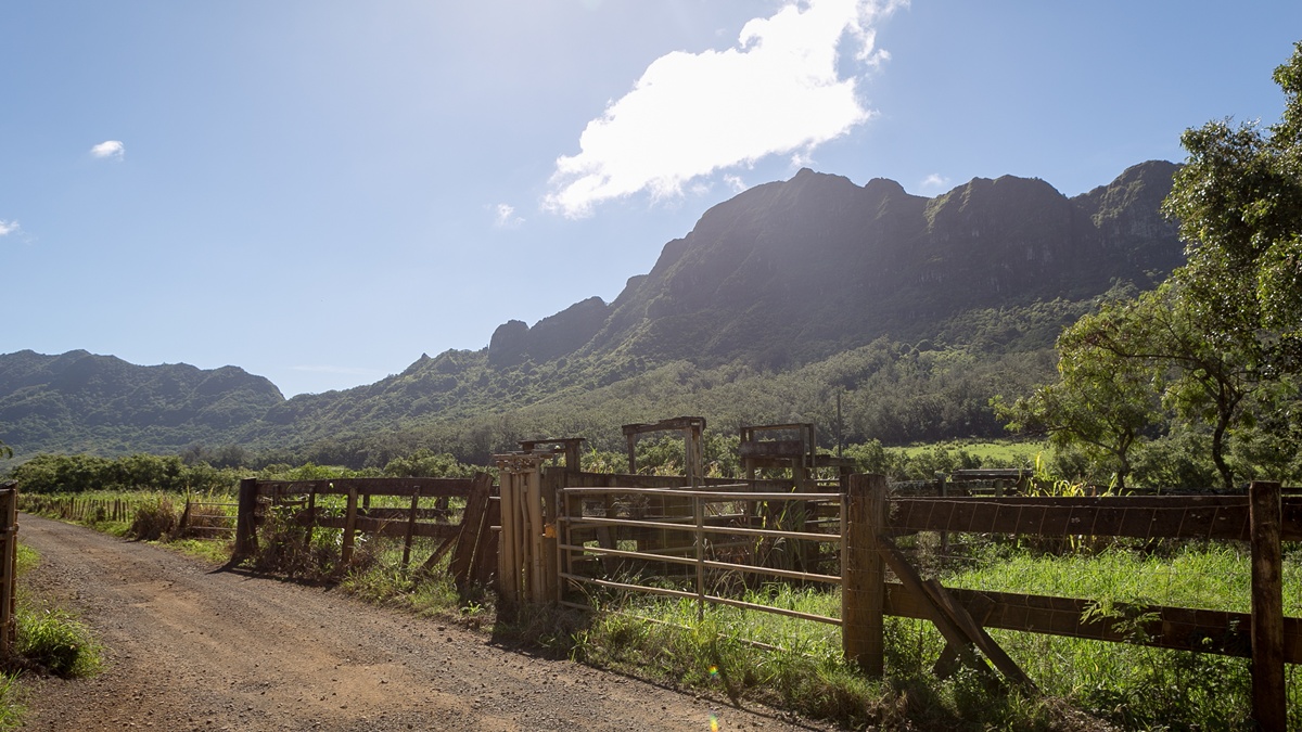 Behind the Scenes: Movies Filmed at Kipu Ranch in Kauai - Hawaii Travel ...