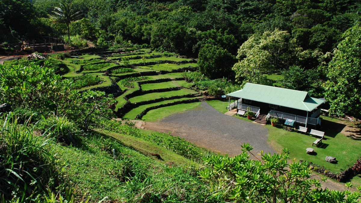 Limahuli Garden - Hawaii Travel Guide