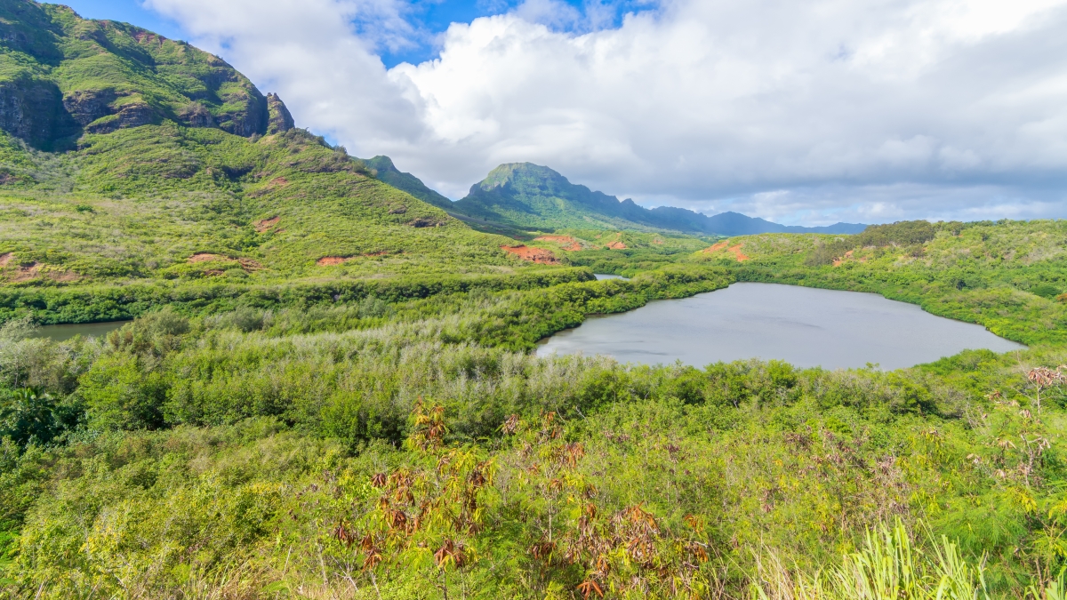 Menehune Fishpond - Hawaii Travel Guide