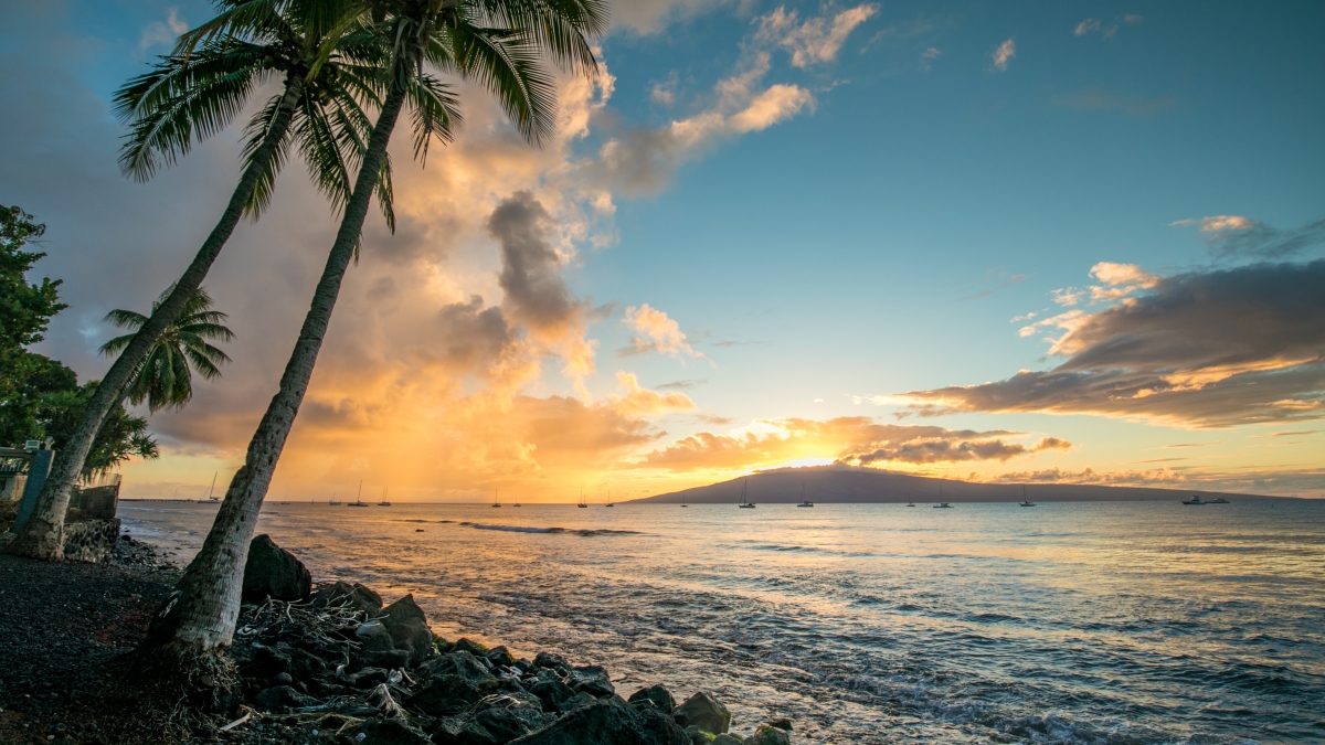 Exploring Lanai's Beaches: A Day Tripper's Guide - Hawaii Travel Guide