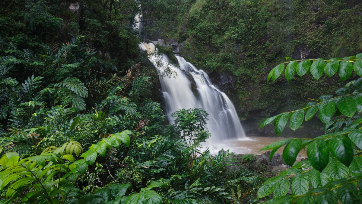 Honokohau Falls - Hawaii Travel Guide