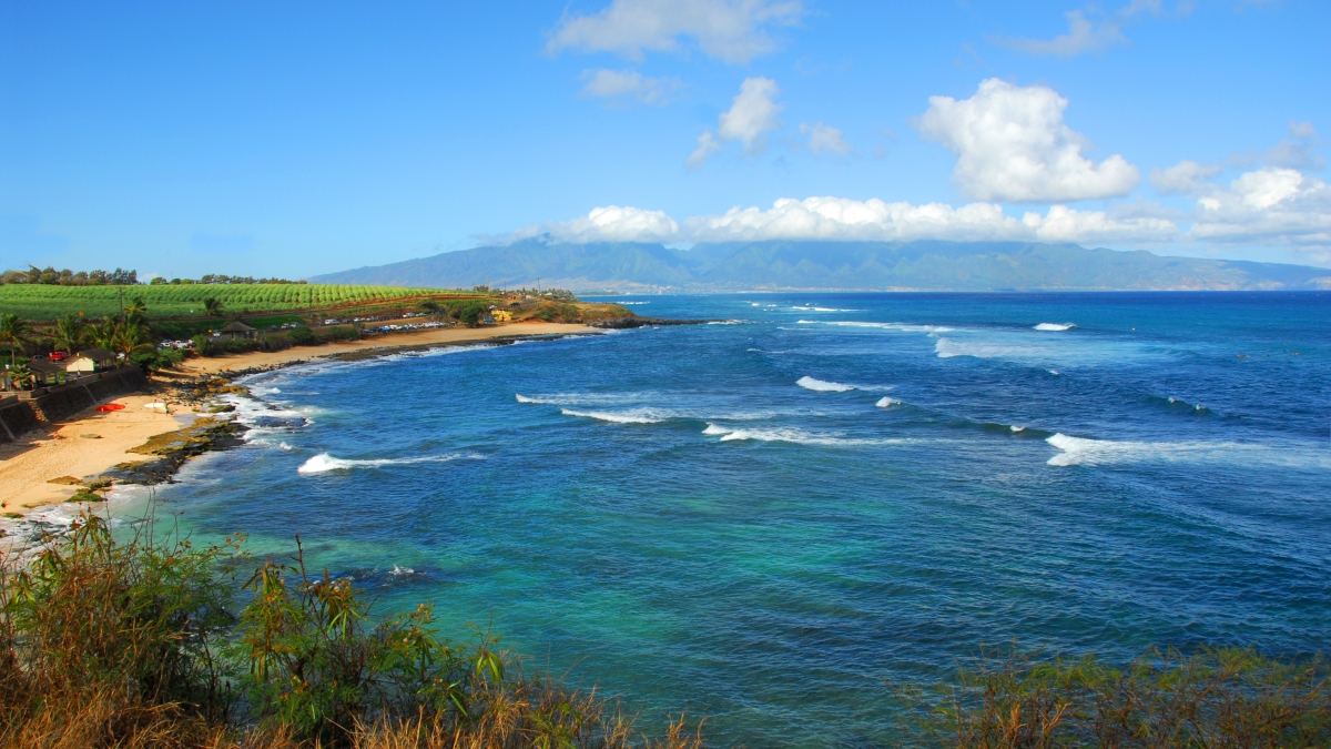 Hookipa Beach Park - Hawaii Travel Guide