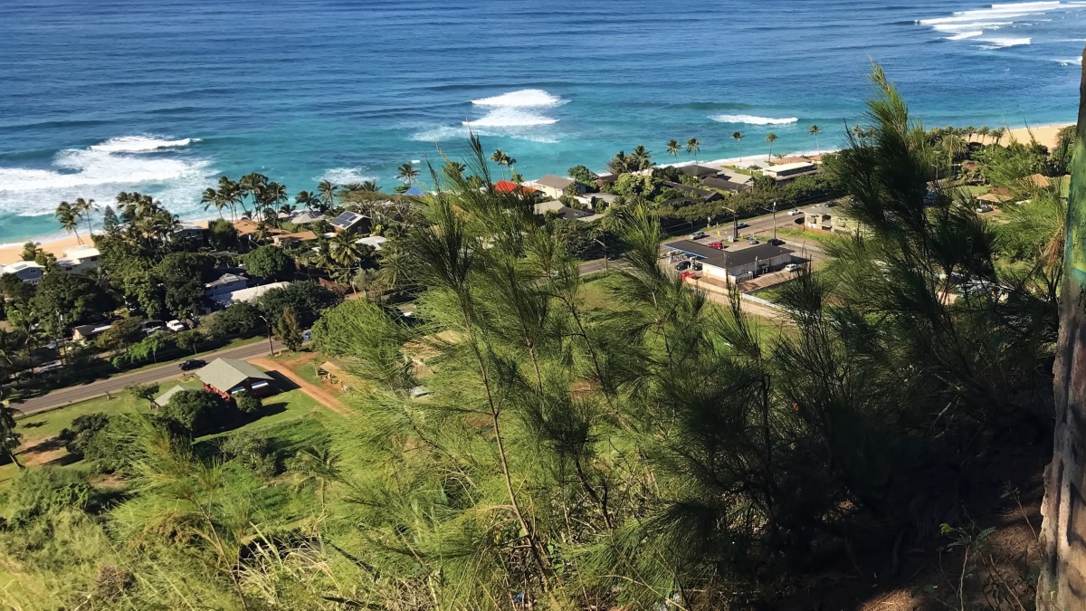 Ehukai Pillbox - Hawaii Travel Guide