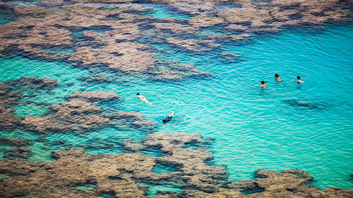 Hanauma Bay Snorkeling Safety Tips - Hawaii Travel Guide