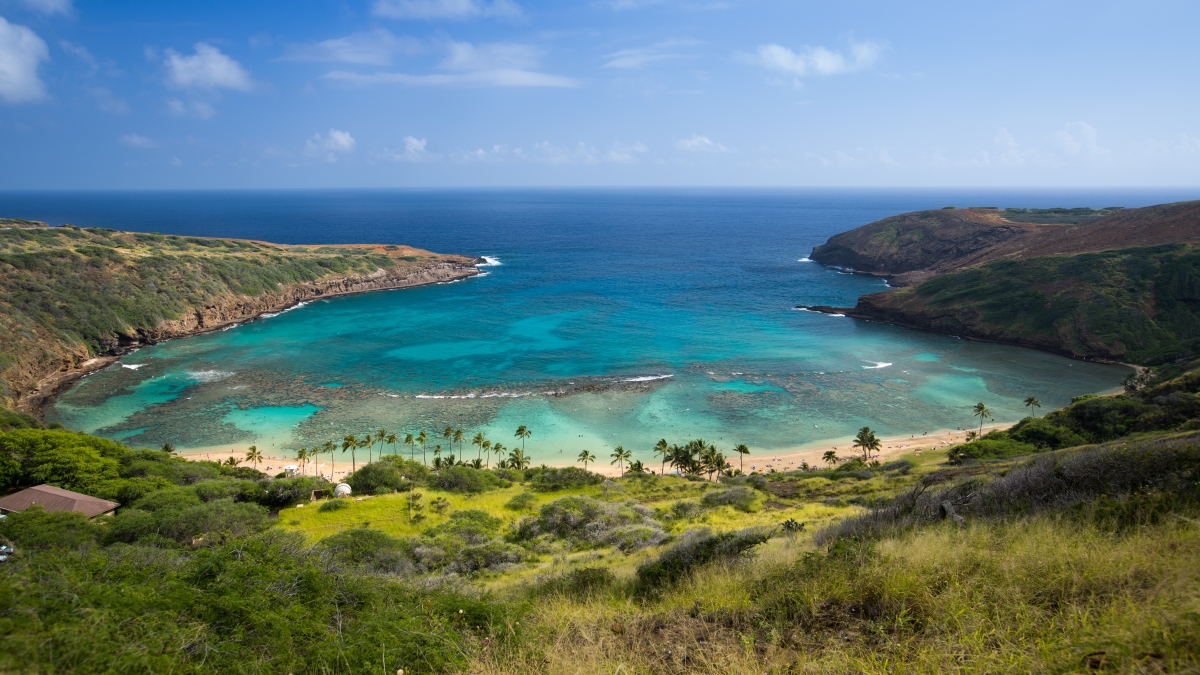 How to Get to Hanauma Bay - Hawaii Travel Guide