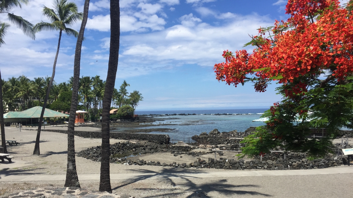 Kahalu'u Beach Park: Snorkeling, Relaxation, and More - Hawaii Travel Guide