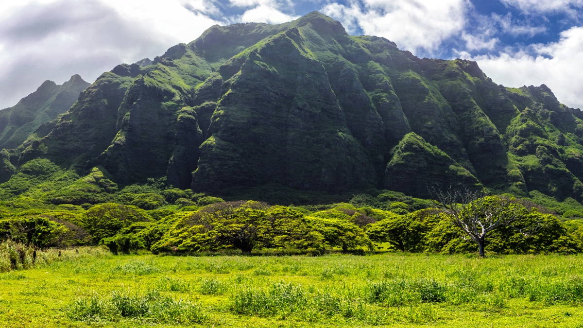 Discover the Thrills of ATV Tours at Kualoa Ranch: Your Ultimate Guide ...