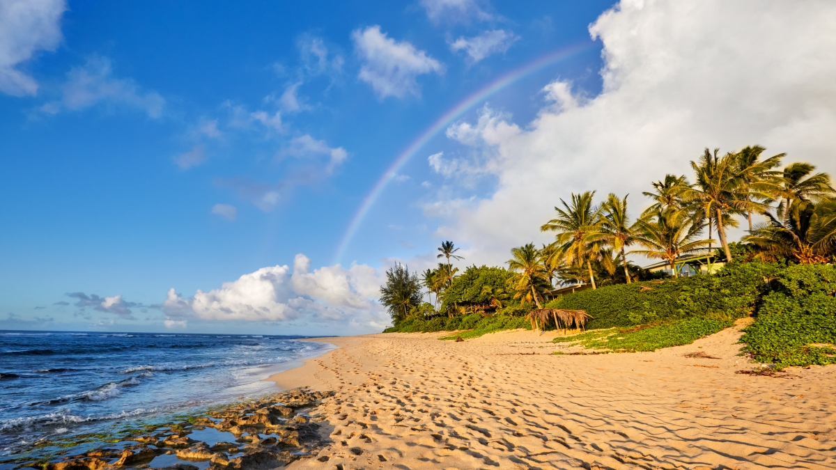 Ultimate Guide to Oahu's North Shore: A 1-Day Adventure for First-Time ...