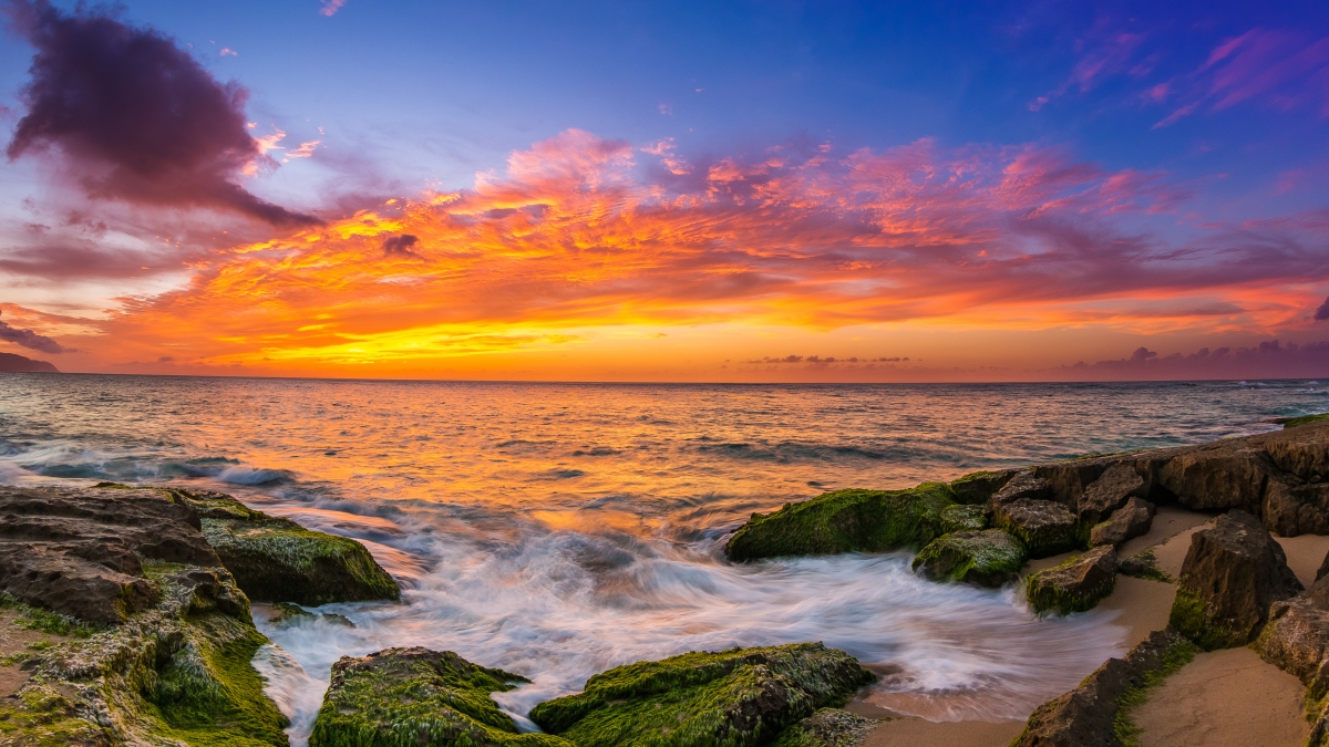 The Best of Oahu's North Shore: A 2-Day Itinerary for Every Traveler ...