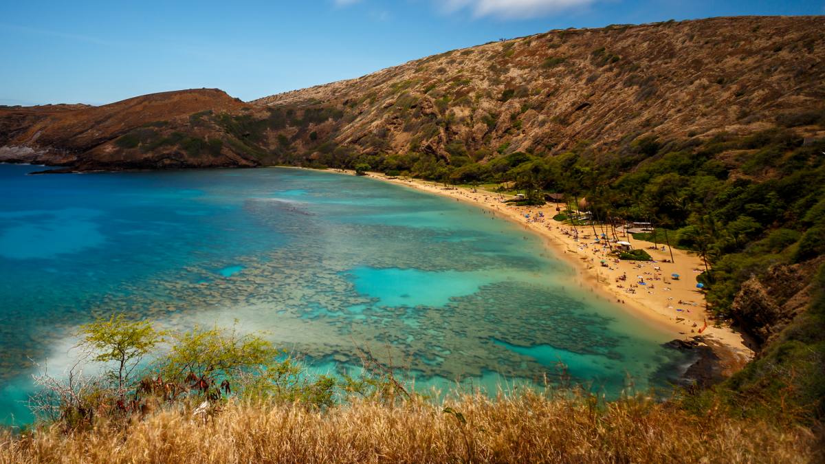 Best Snorkeling Spots in Waikiki - Hawaii Travel Guide