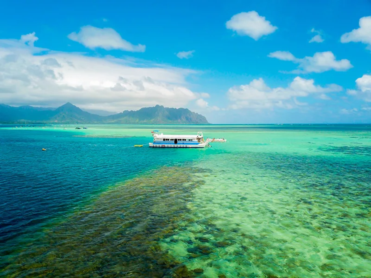 5 Reasons Why Our Customers Love Kaneohe Bay Sandbar Ocean Sports ...