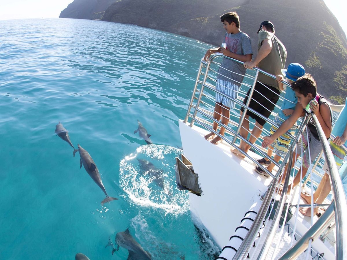 How to Prevent Seasickness on Na Pali Coast Boat Tours - Hawaii Travel ...