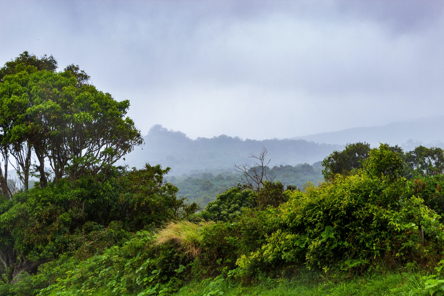 6 Best Summer Hikes in Oahu - Hawaii Travel Guide