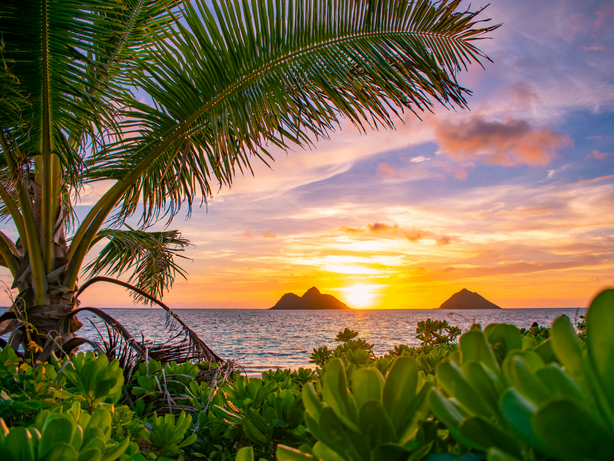 15 Things to Do in Oahu: Top Activities and Attractions - Hawaii Travel ...