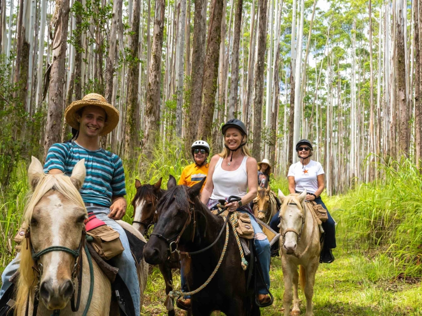 New Things to Do on the Big Island for 2024 - Hawaii Travel Guide