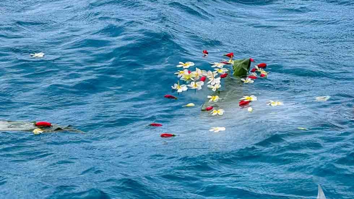 What Is a Memorial Reef? Turning Ashes into a Living Legacy in Hawaii ...