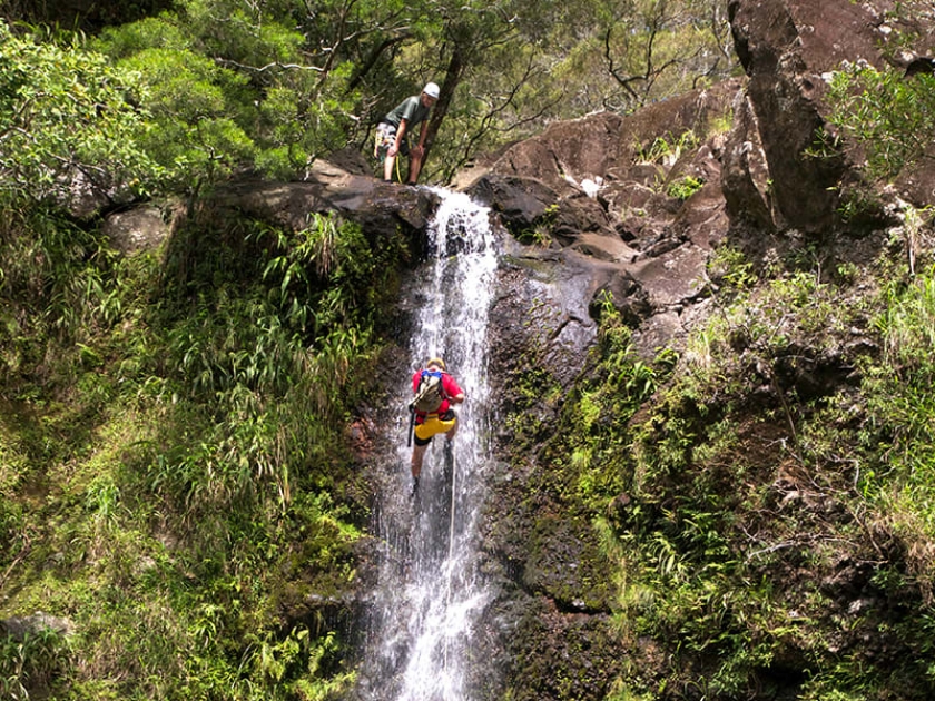 The Ultimate Experience with Private Maui Tours - Your Guide to ...