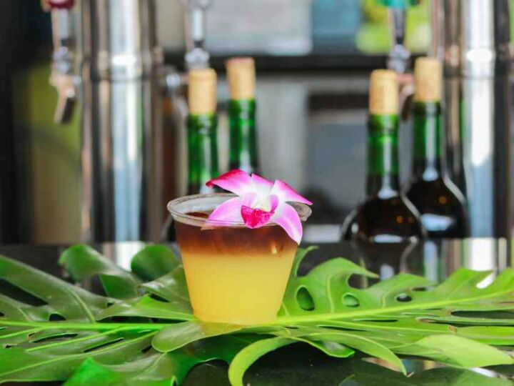 10 Things You Didn't Know About Luaus in Oahu - Hawaii Travel Guide