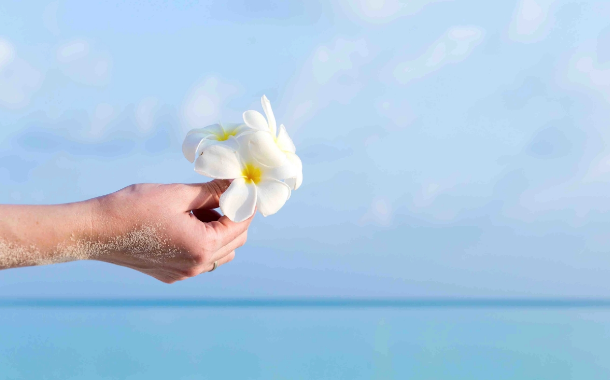 How to Plan a Meaningful Ash Scattering Ceremony in Hawaii - Hawaii ...