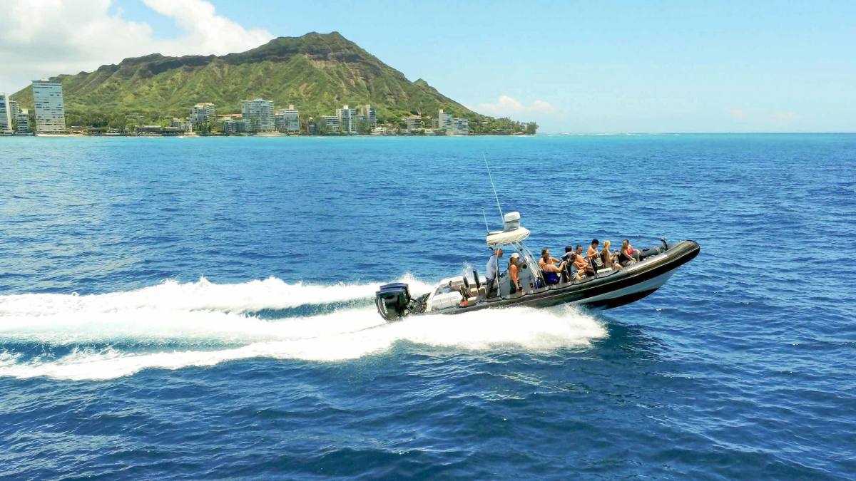 Best Snorkeling Tours near Waikiki - Hawaii Travel Guide