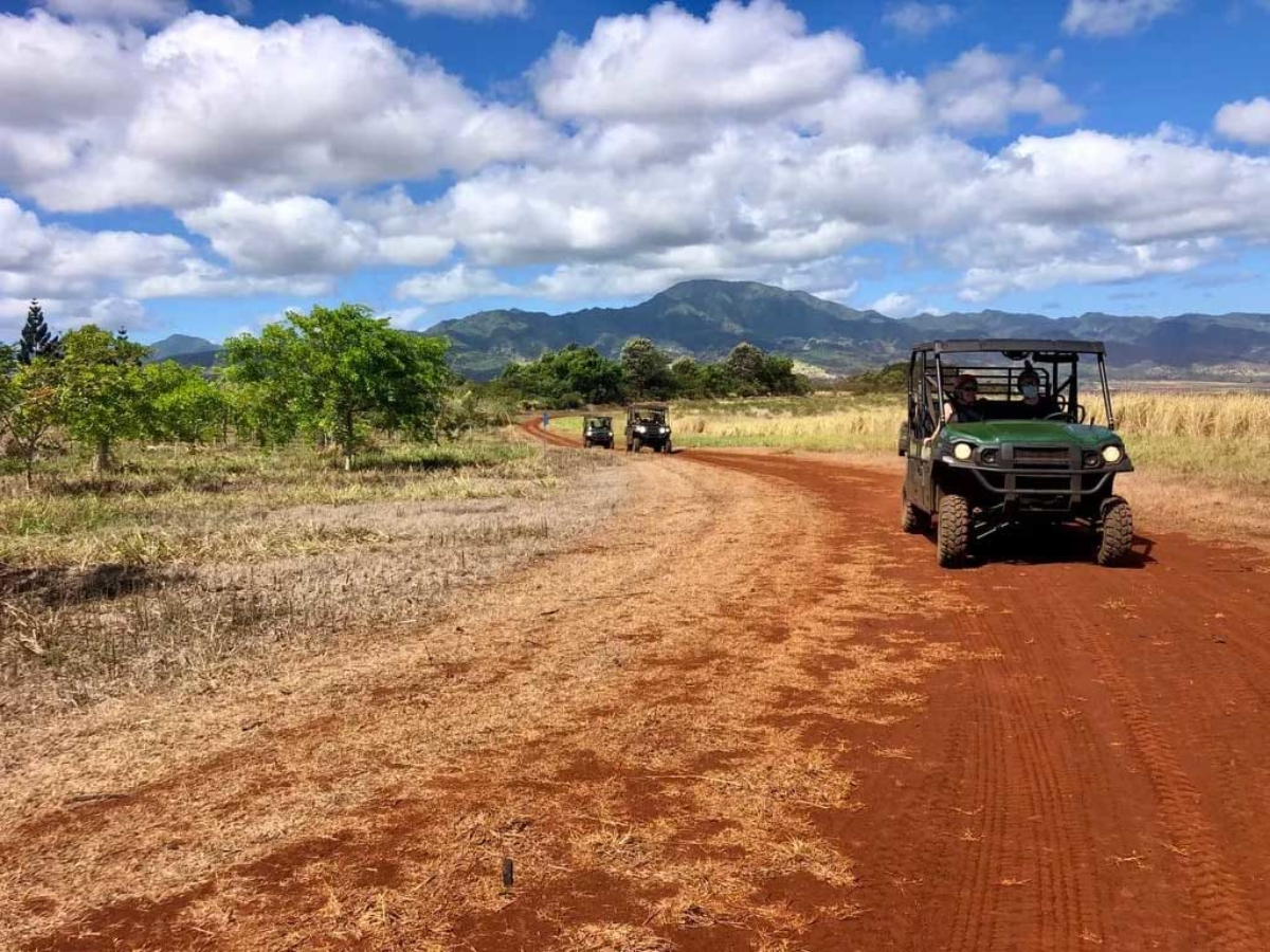 The Ultimate Guide to Oahu ATV Tours - Hawaii Travel Guide