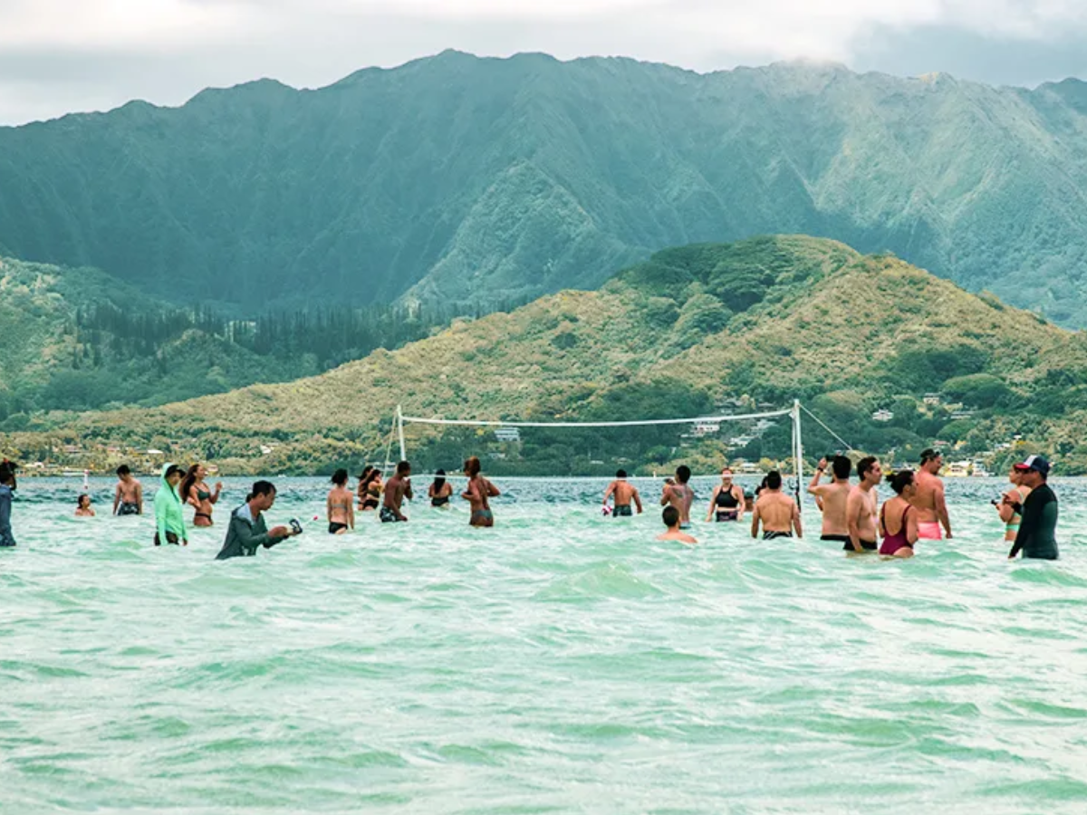 Best Things To Do With The Family at Kaneohe Sandbar - Hawaii Travel Guide