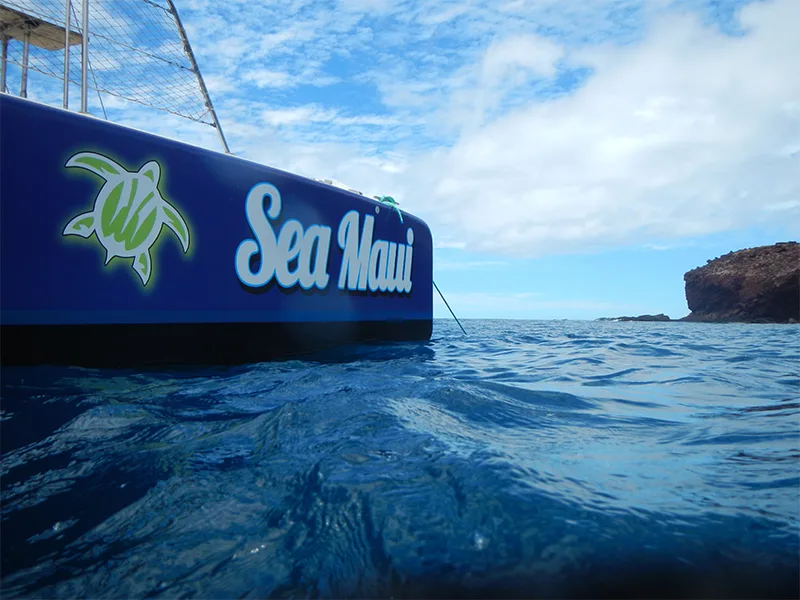 13 New Snorkeling Adventures in Maui - Hawaii Travel Guide