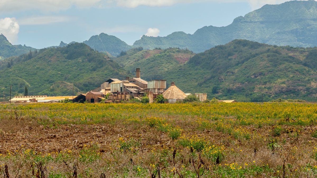 History of the Old Lihue Sugar Plantation Ditch System in Kauai ...