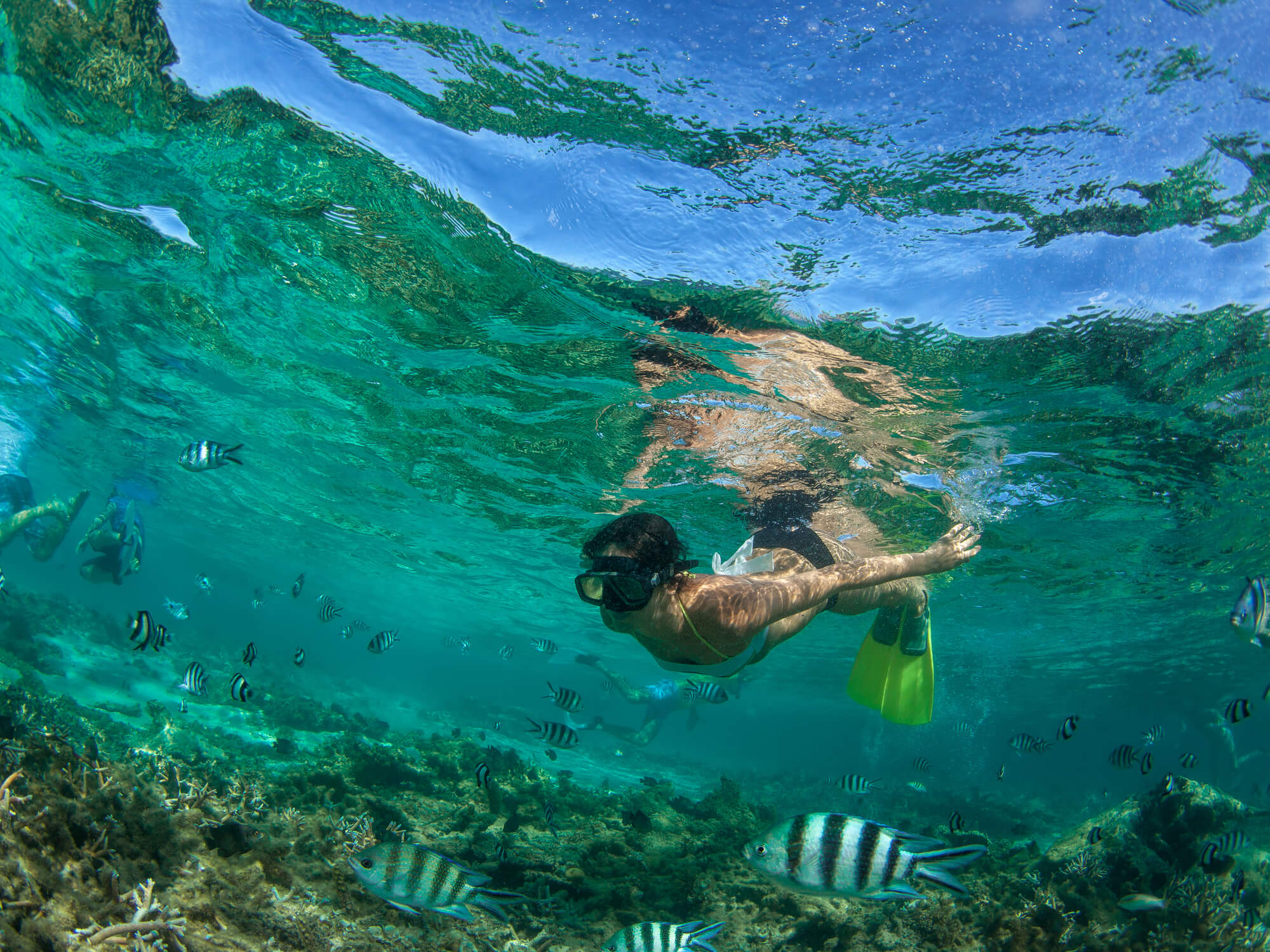 Hanauma Bay - Hawaii Travel Guide